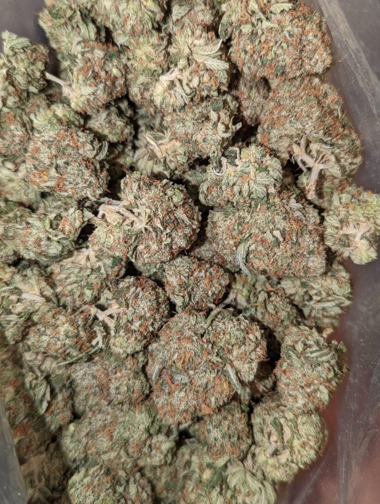 Buy UBC Chemo (AAA) Strain - Buy Cannabis Online | Online Dispensary ...