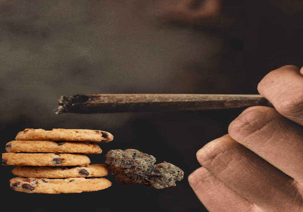 Edibles Vs. Smoking: How Do They Differ And Which Is Better? - Top Shelf BC