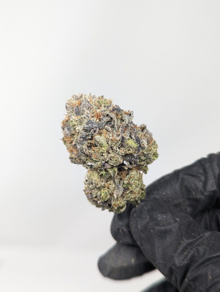 Buy Pink Goo (AAAA-) Online At Top Shelf BC