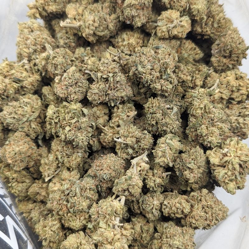 Afghani Hash Plant Online At Top Shelf BC Afghani Hash Plant Online At Top Shelf BC