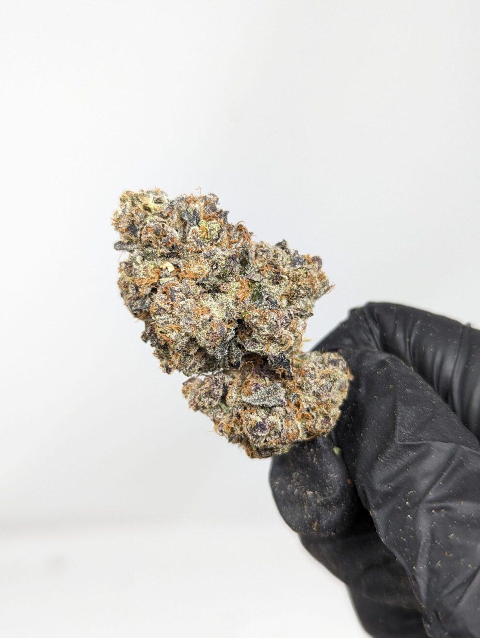 Buy Jet Fuel OG (AAAA) Online At Top Shelf BC